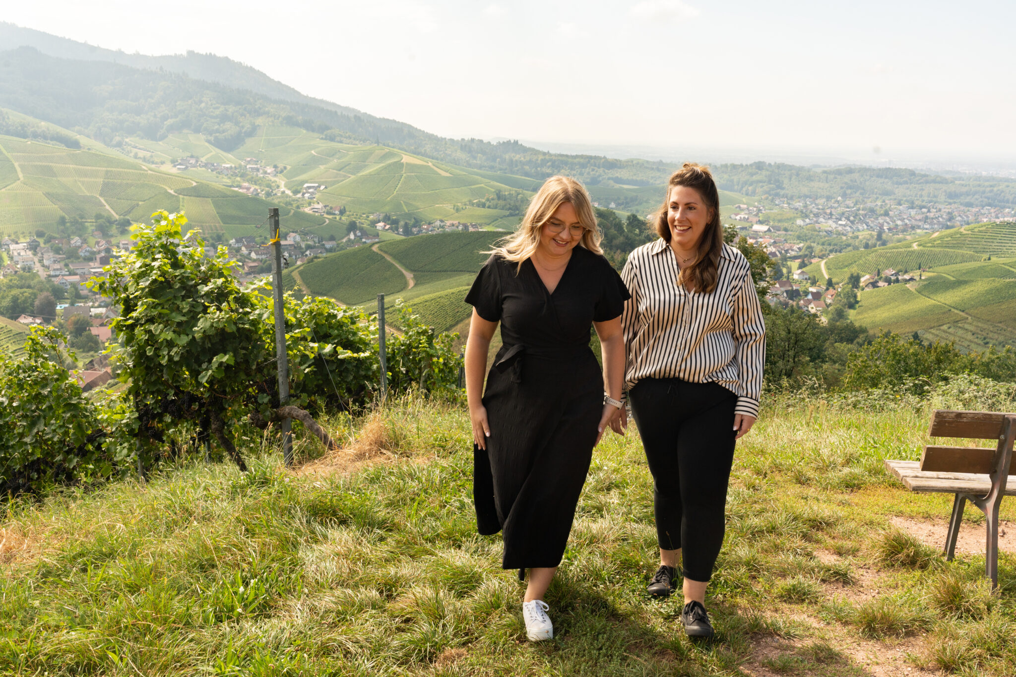 Home - First Cash Solution